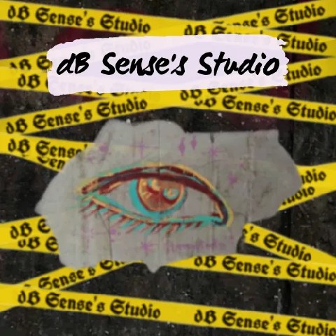 dB Sense's Studio - Linkfly