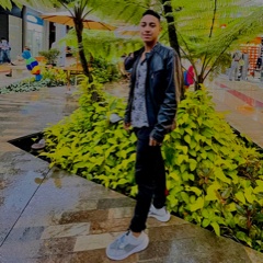 David Vargas - Linkfly