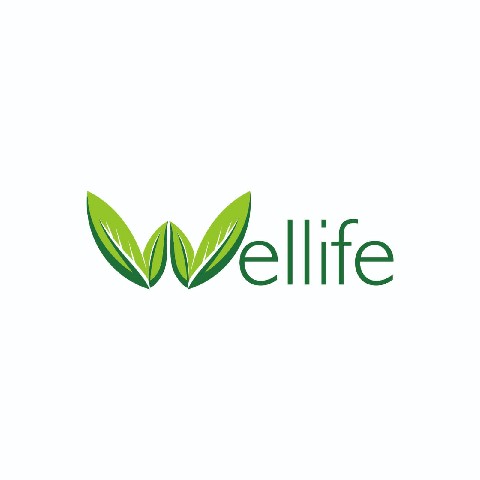 Wellife Pontianak - Linkfly