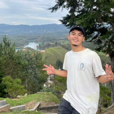 Alez Trader - Linkfly