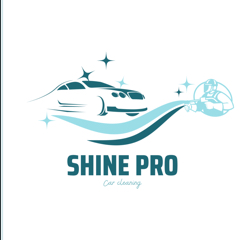 Shine Pro شاين برو - Linkfly
