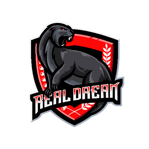 REAL DREAM - Linkfly