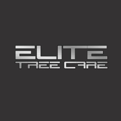 Elite Tree Care - Linkfly