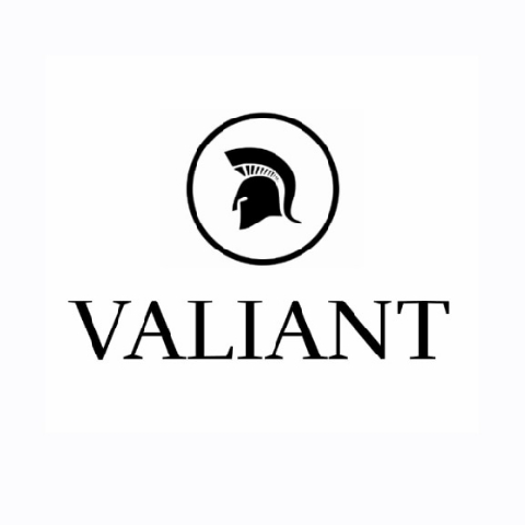 Valiant - Linkfly
