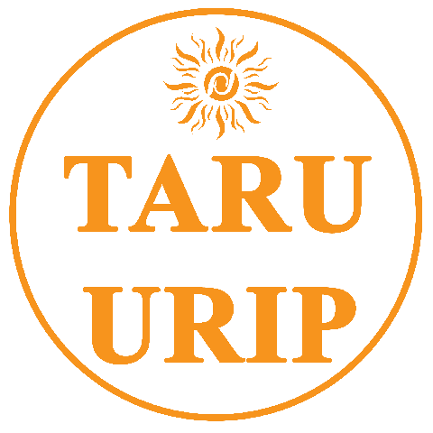 🔹MINYAK TARU URIP🔹 - Linkfly