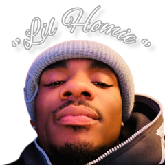 Lil homie 🩶 - Linkfly