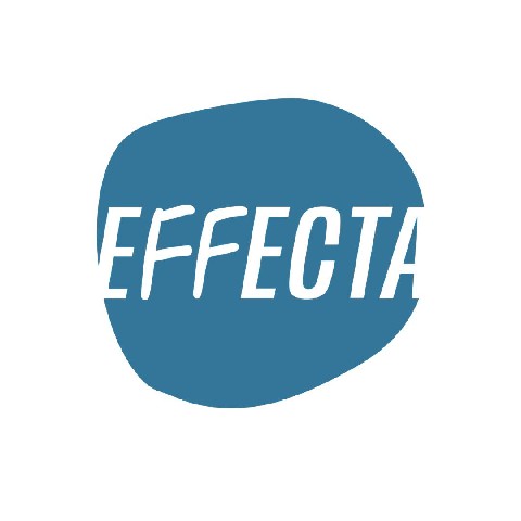 EFFECTA - Linkfly