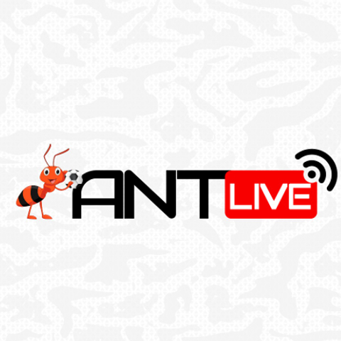 Ant Live - Linkfly