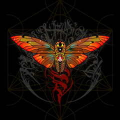 𝔄𝔩𝔢 𝔓𝔯𝔬𝔧𝔢𝔠𝔱 - Linkfly