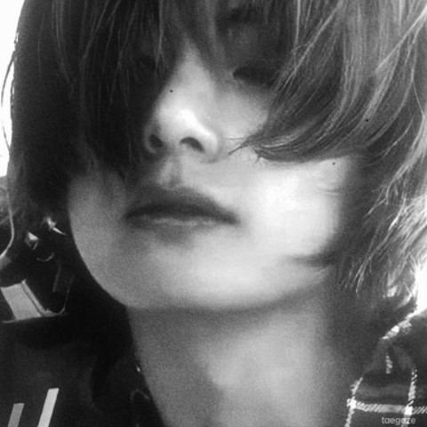 Taevyafanfictions - Linkfly