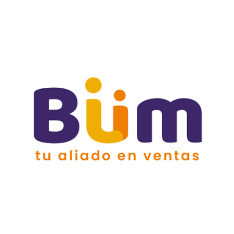 BUM - Linkfly