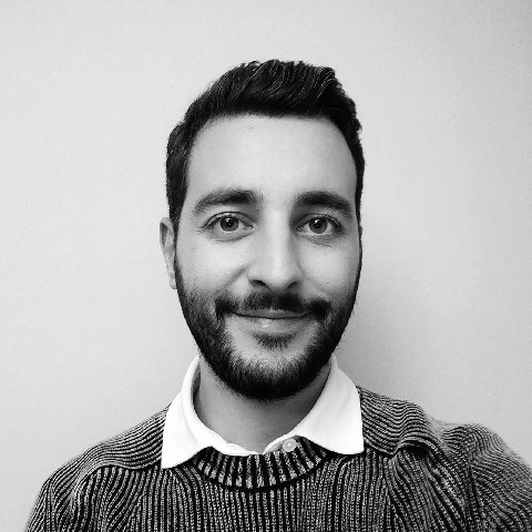 DANIEL VOLPI - Linkfly