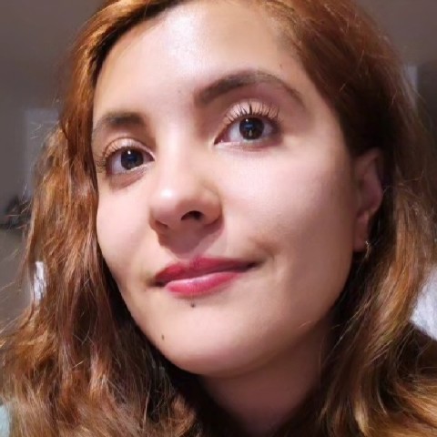 P R I S C I L A - Linkfly