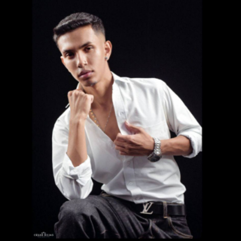 David Price - Linkfly