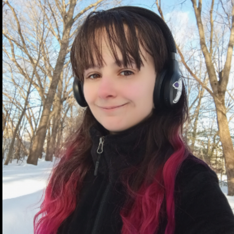 𝓩𝓮𝓵𝓭𝓪 - Linkfly