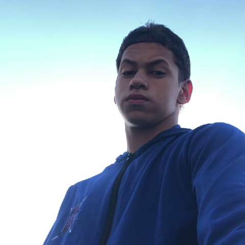 Julio silva - Linkfly