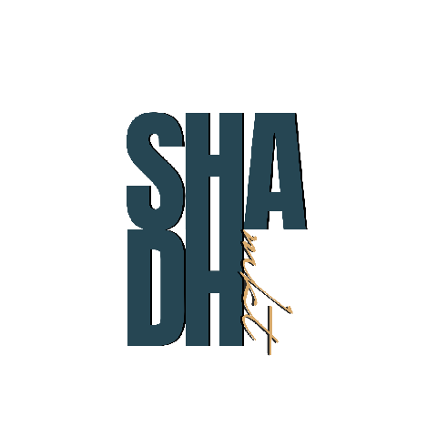 Shadh Marketing - Linkfly