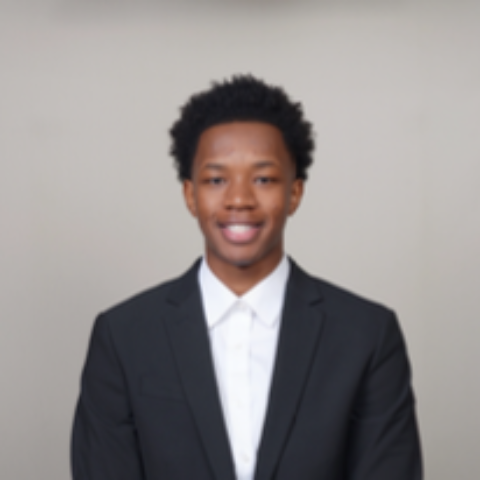 Real Estate Agent - Linkfly