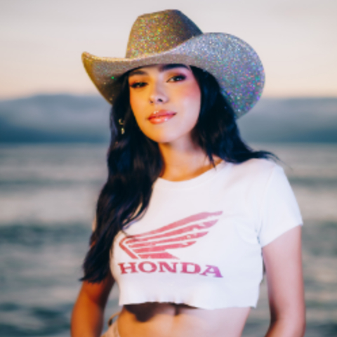 Anyelique Solorio - Linkfly