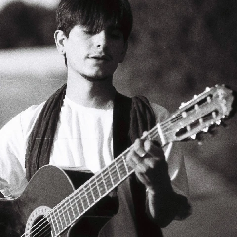 Artist · Singer-Songwriter · Performer - Linkfly